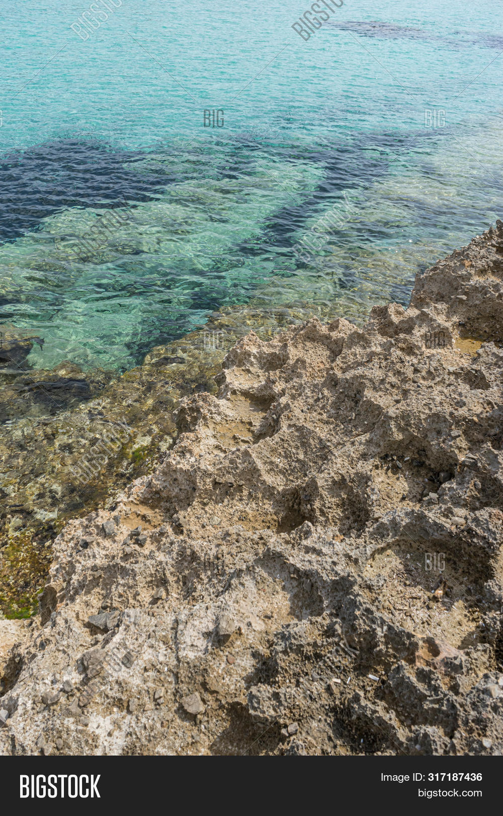 Turquoise Image & Photo (Free Trial) | Bigstock