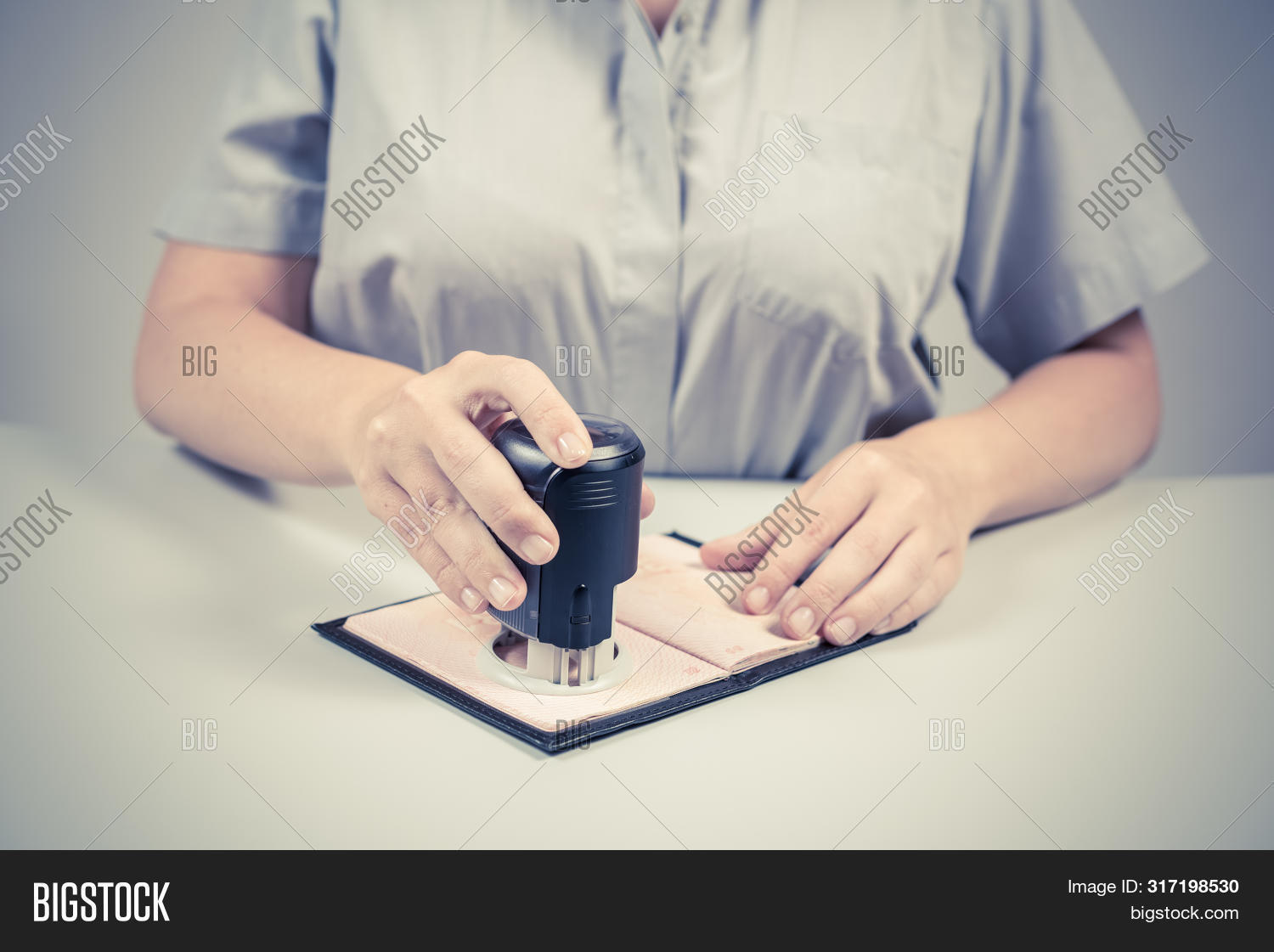 Immigration Passport Image & Photo (Free Trial) | Bigstock