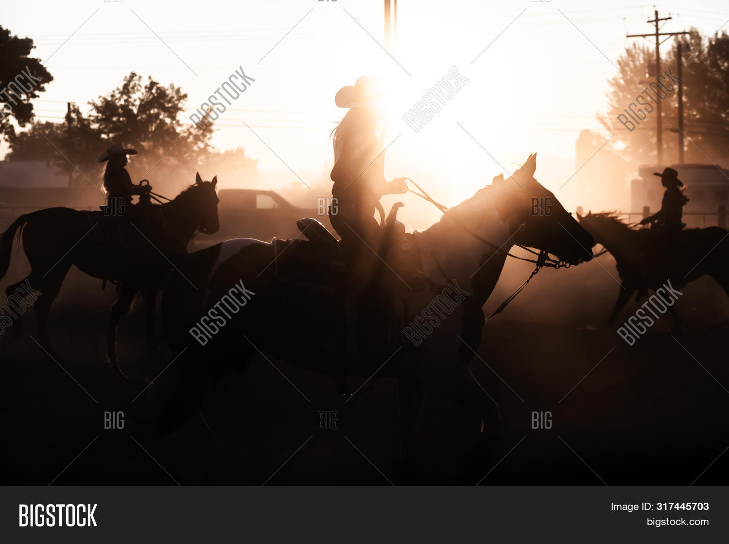 Sunset Silhouette Image & Photo (Free Trial) | Bigstock