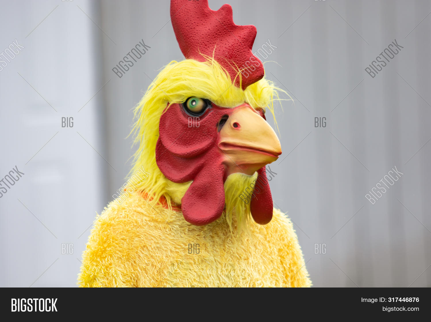 Adult Chicken Mascot Image & Photo (Free Trial) | Bigstock