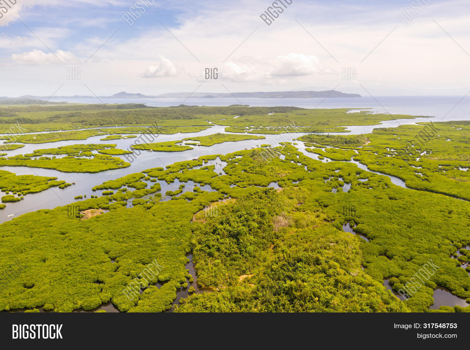 Mangroves Rivers Image & Photo (Free Trial) | Bigstock