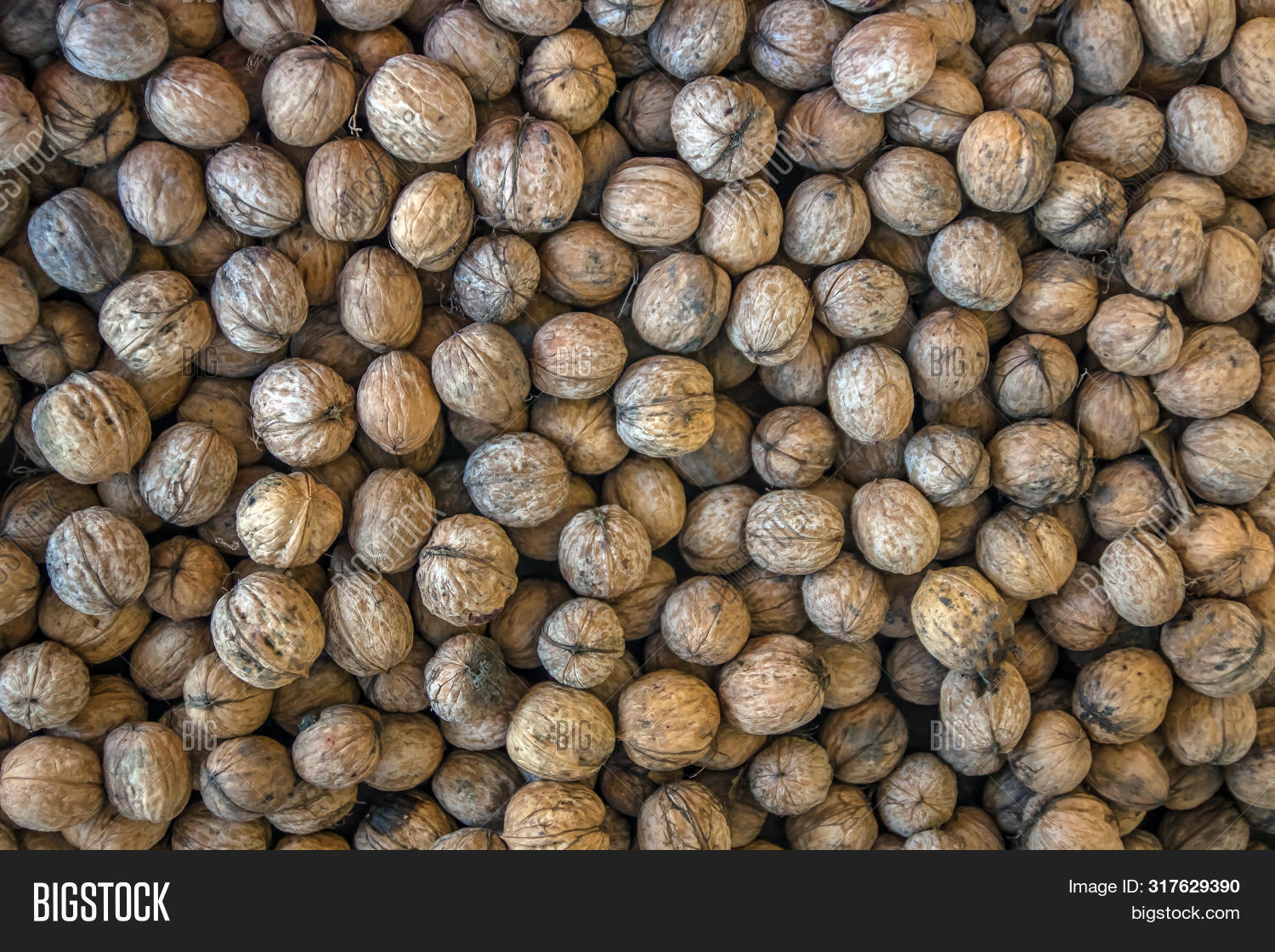 Natural Walnut Image & Photo (Free Trial) | Bigstock