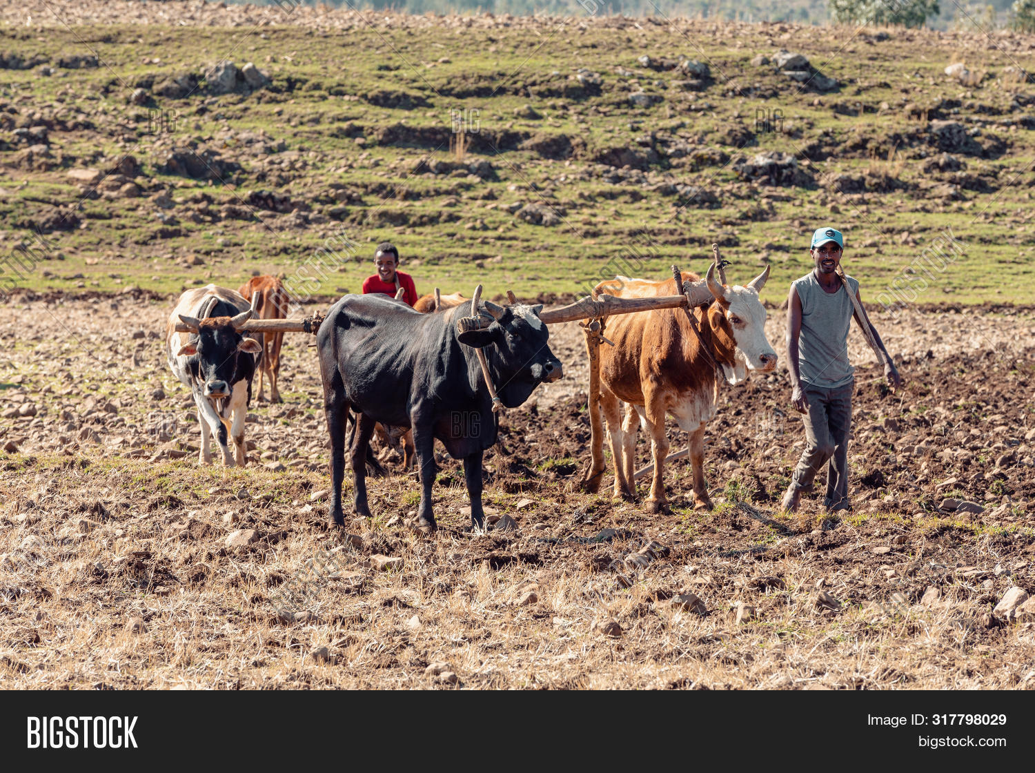 Oromia Region, Image & Photo (Free Trial) | Bigstock