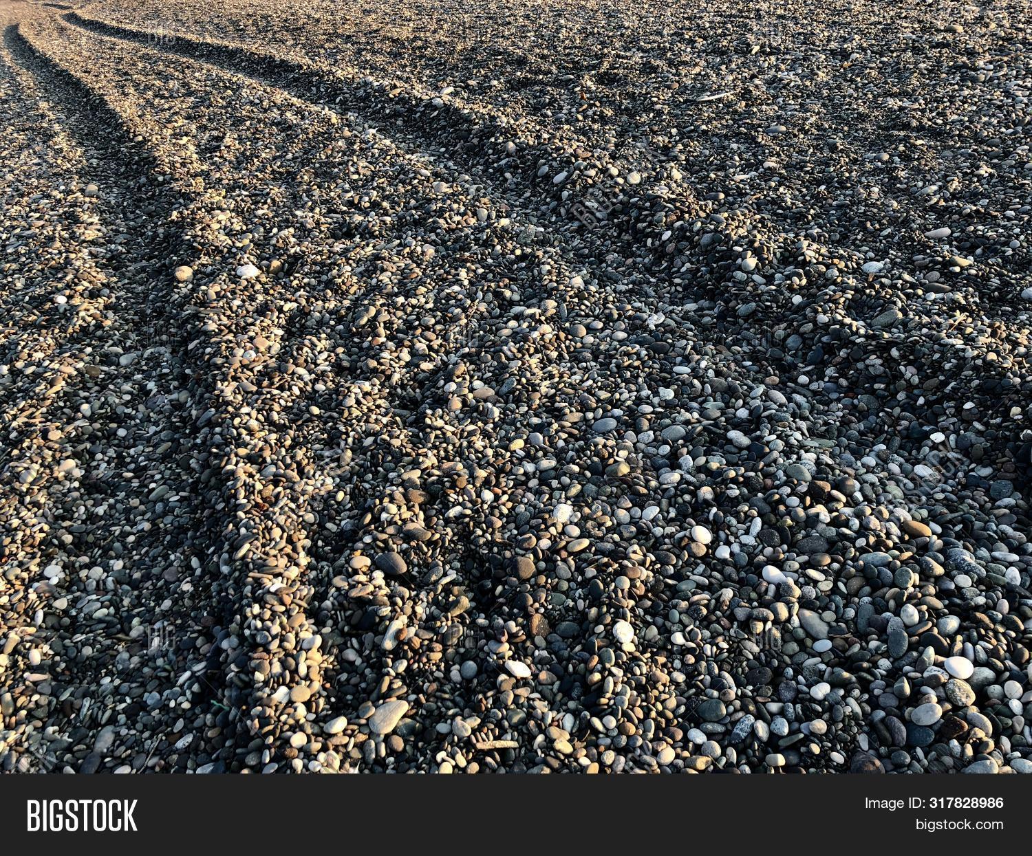 Traces Wheels On Small Image & Photo (Free Trial) | Bigstock