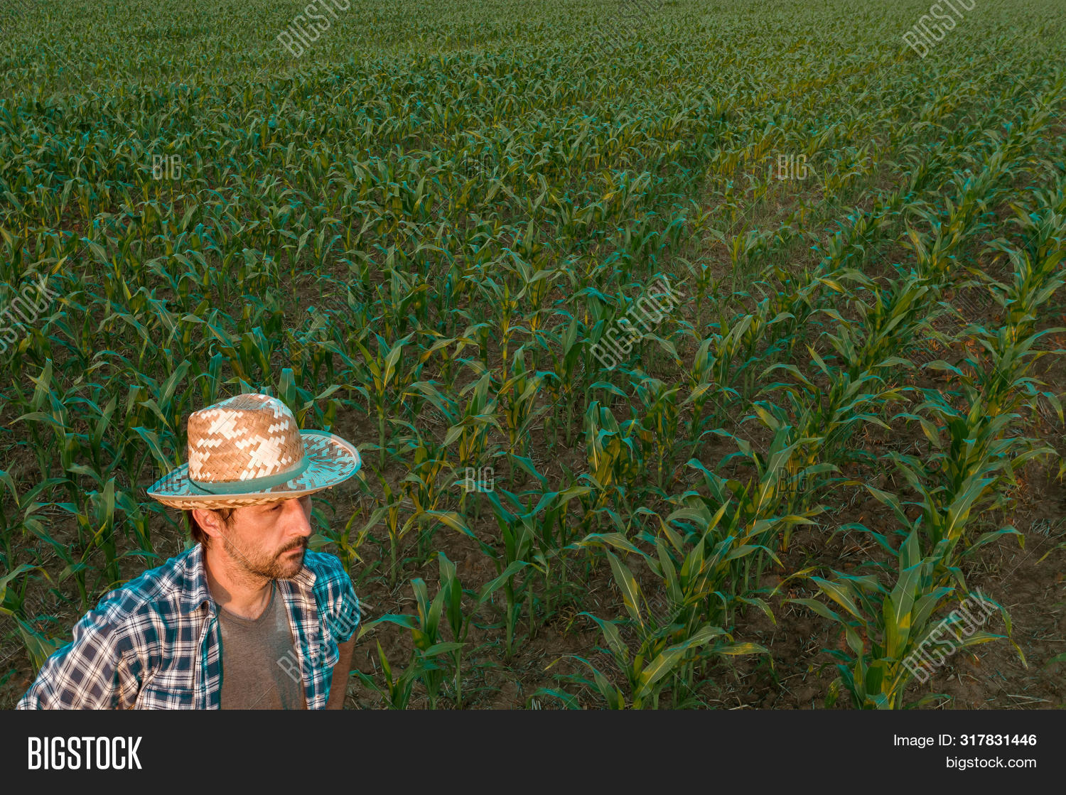 Tired Exhausted Farmer Image & Photo (Free Trial) | Bigstock