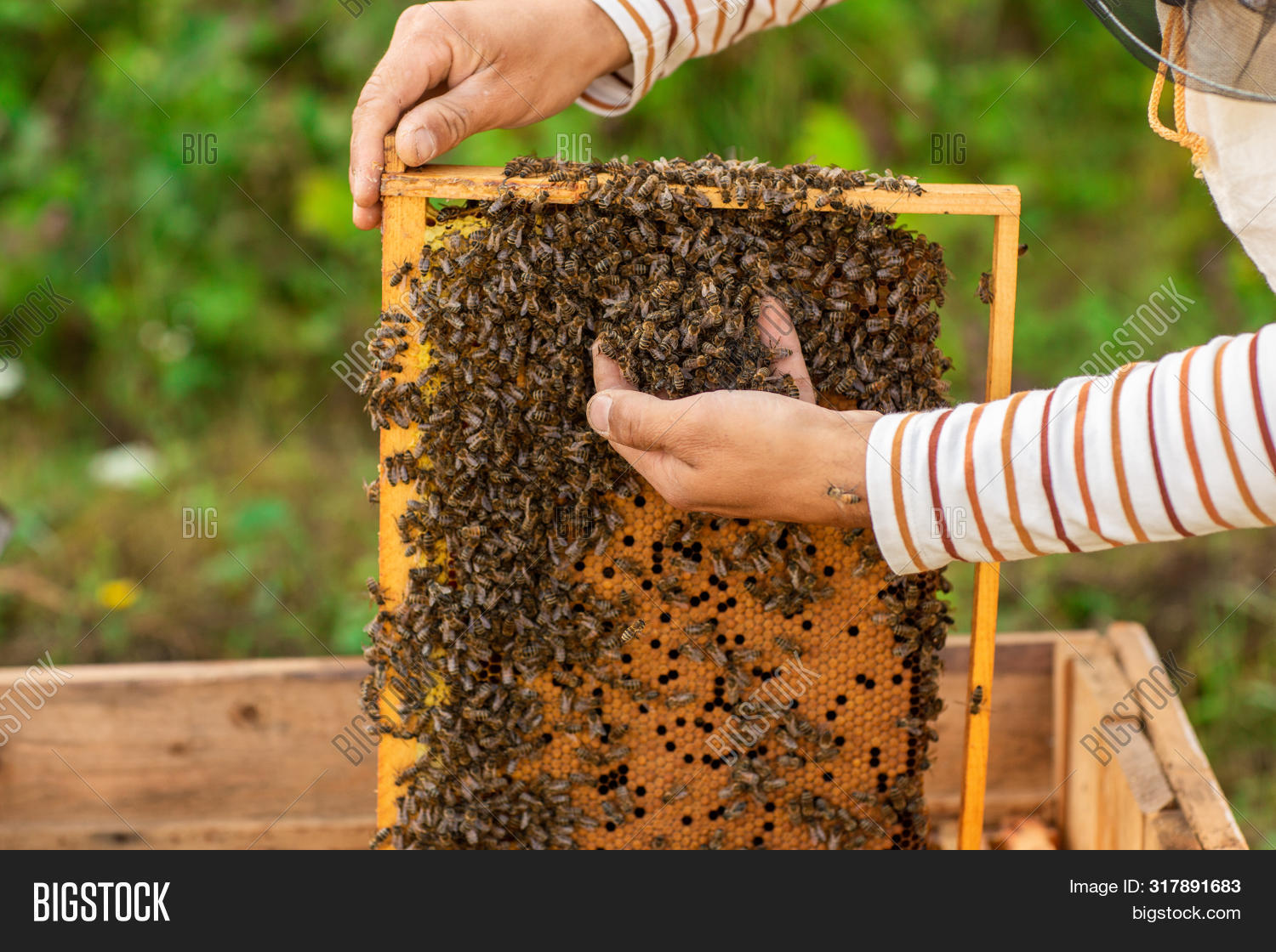 Closeup Hands Image & Photo (Free Trial) | Bigstock