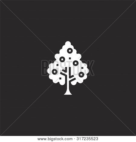 Orange Tree Icon. Vector & Photo (Free Trial) | Bigstock