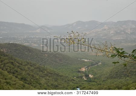View Distance Hills Image & Photo (Free Trial) | Bigstock