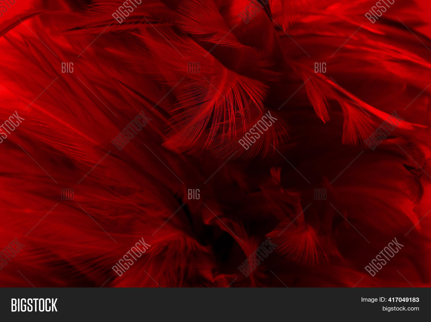 Dark Red Feather Wing Image & Photo (Free Trial) | Bigstock