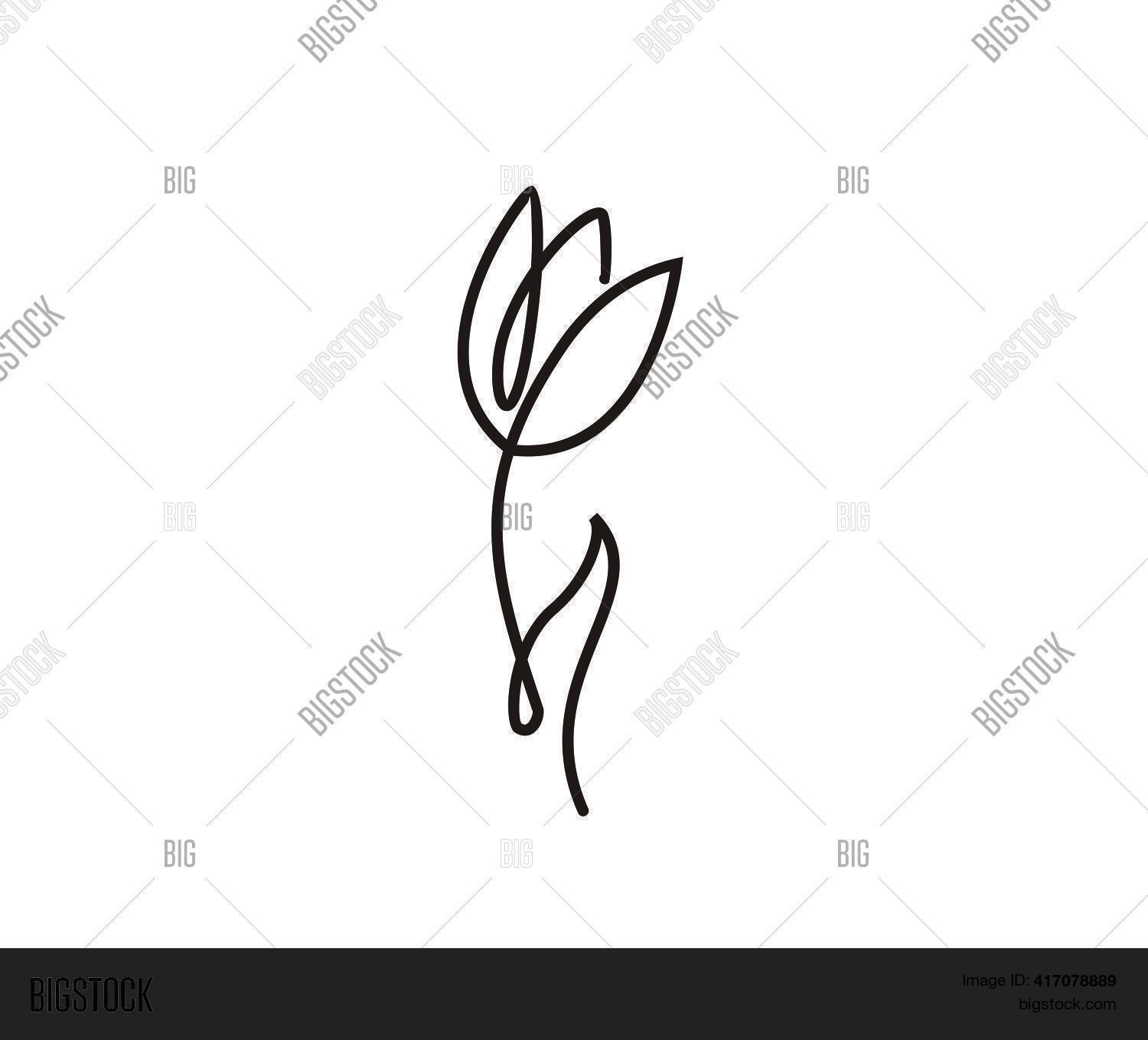 Tulip Continuous Line Vector & Photo (Free Trial) | Bigstock