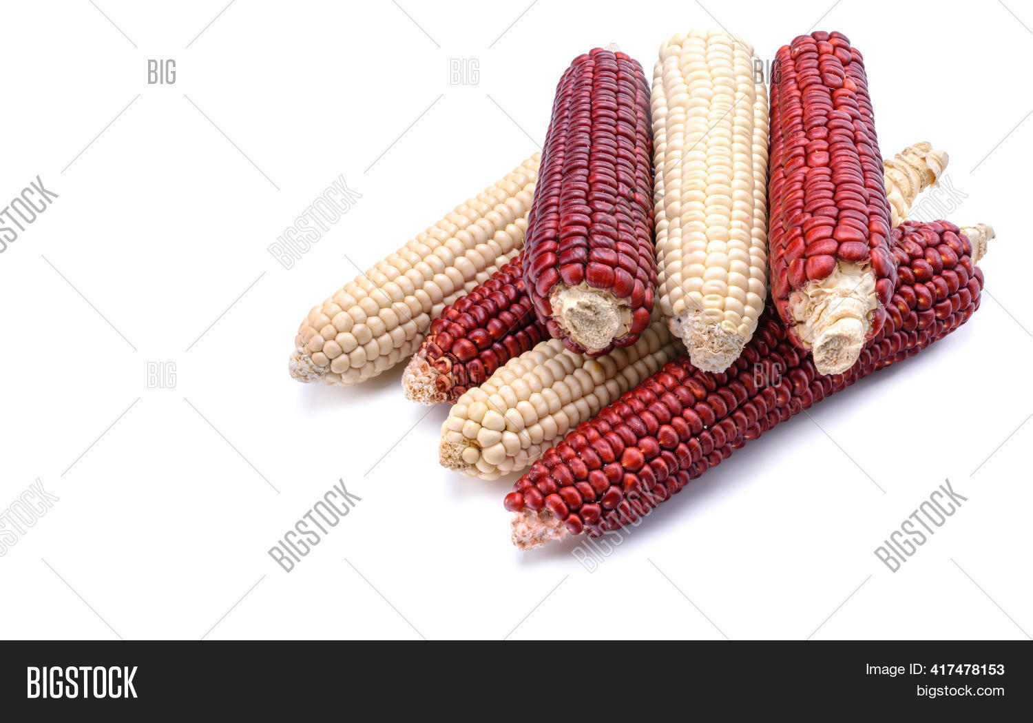 Red White Corn Image & Photo (Free Trial) | Bigstock