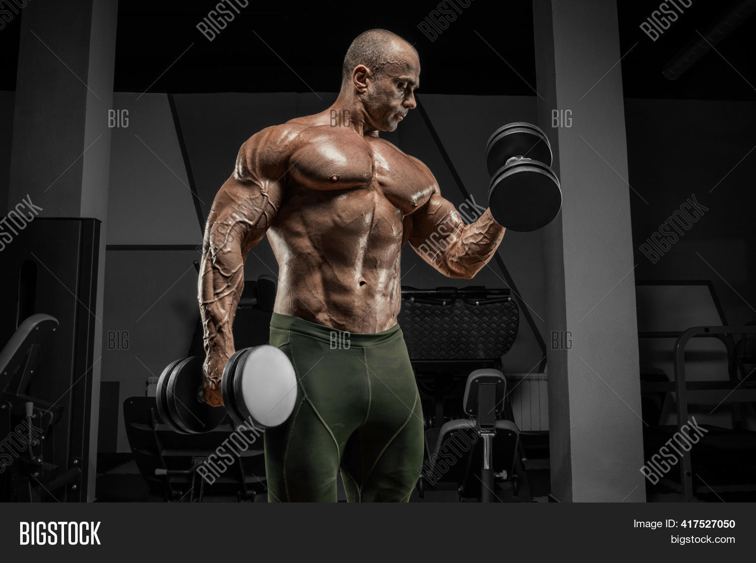 Professional Image & Photo (Free Trial) | Bigstock