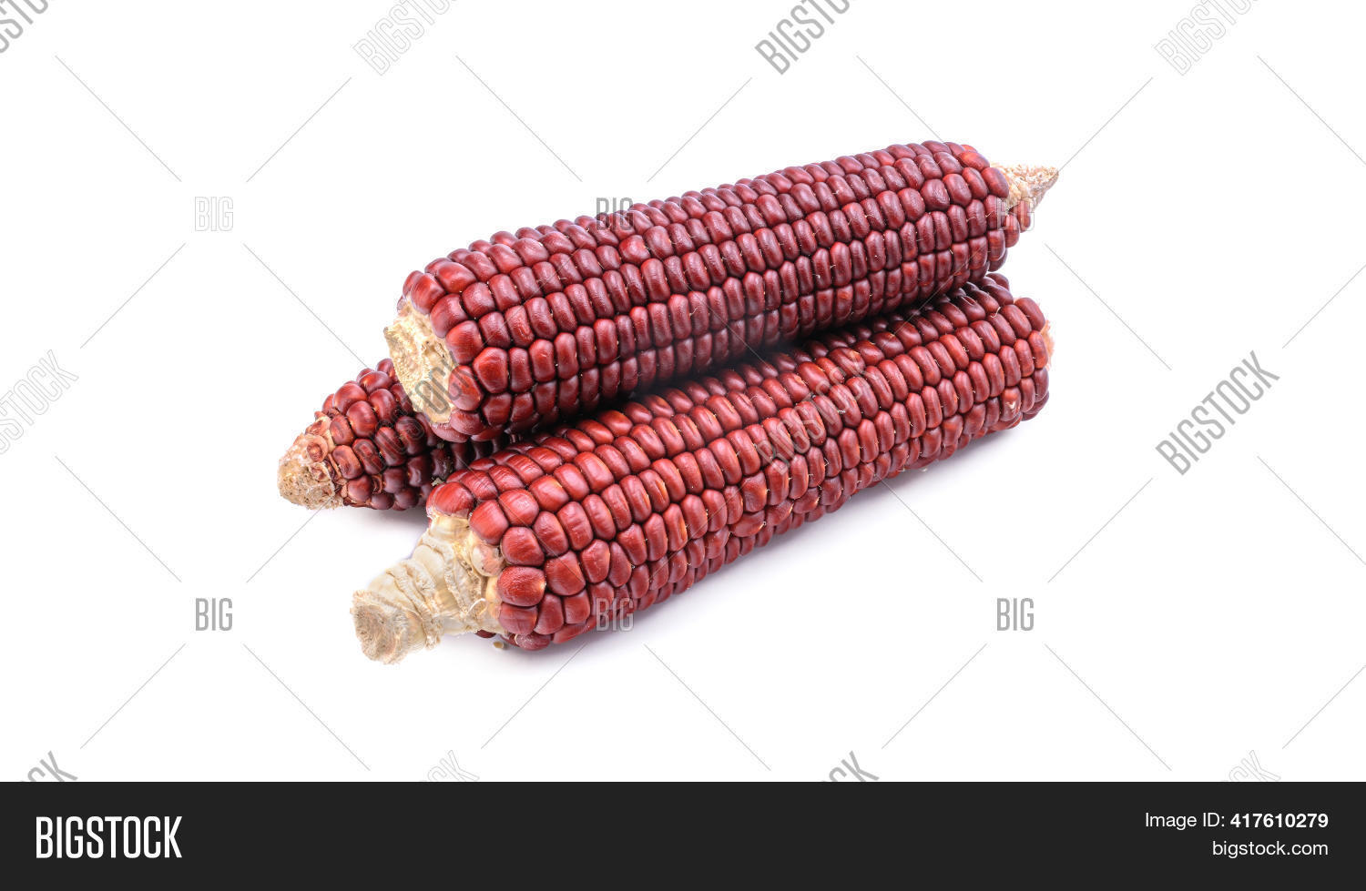 Red Corn Isolated On Image & Photo (Free Trial) | Bigstock