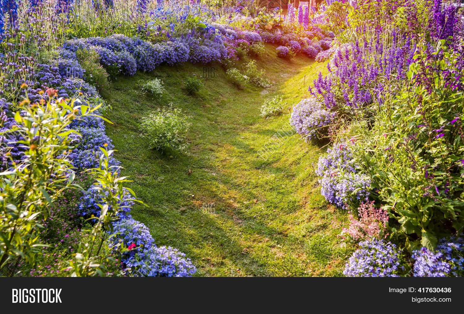 Path Leading Through Image & Photo (Free Trial) | Bigstock