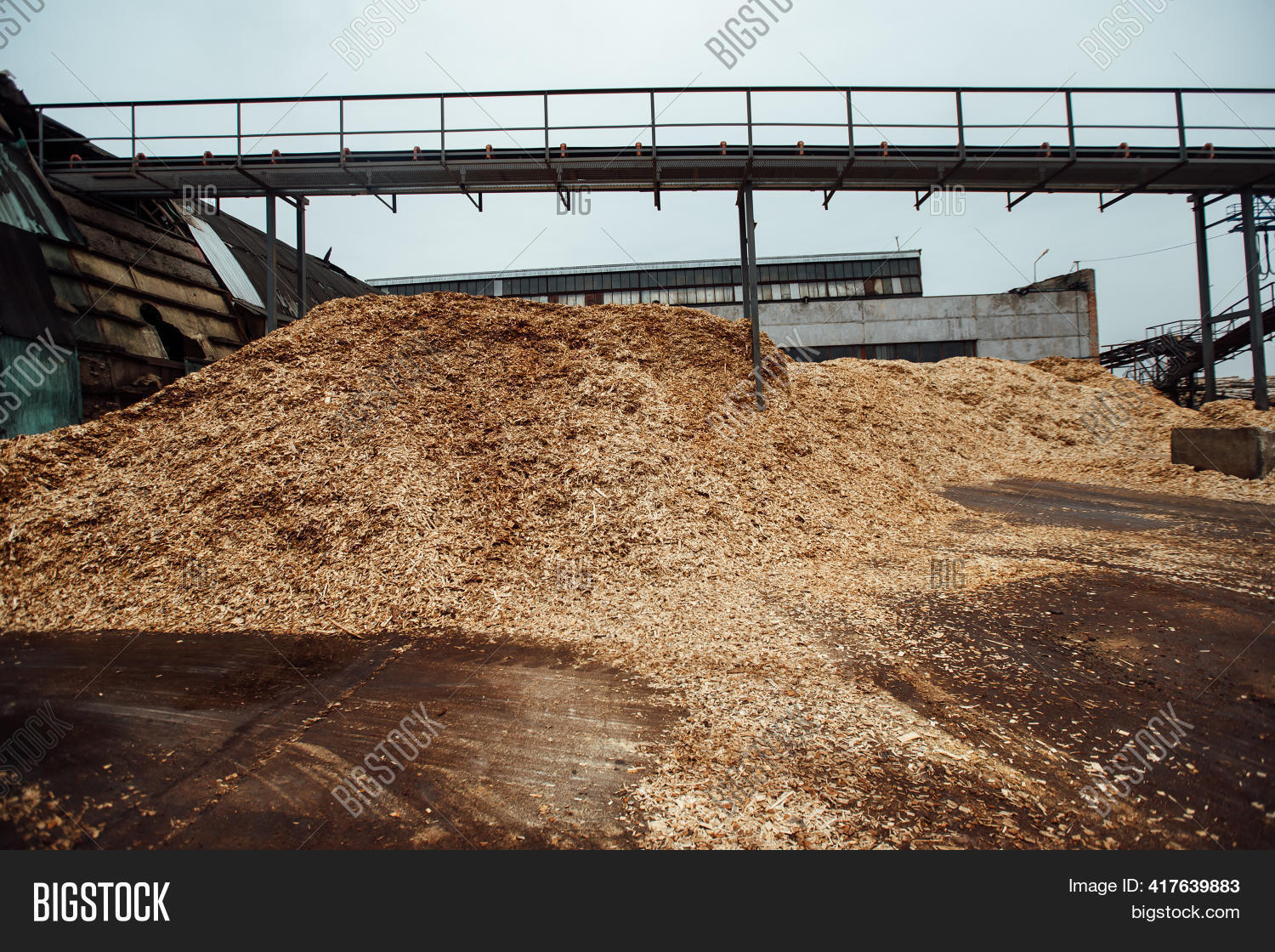 Conveyor Wood Chips. Image & Photo (Free Trial) | Bigstock