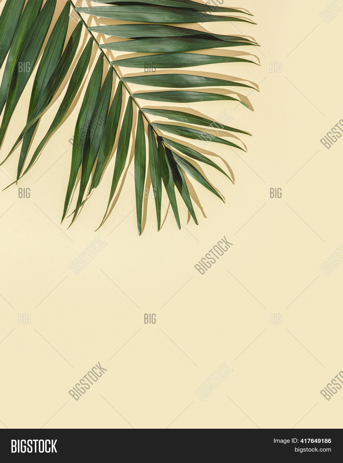 Summer Minimal Image & Photo (Free Trial) | Bigstock