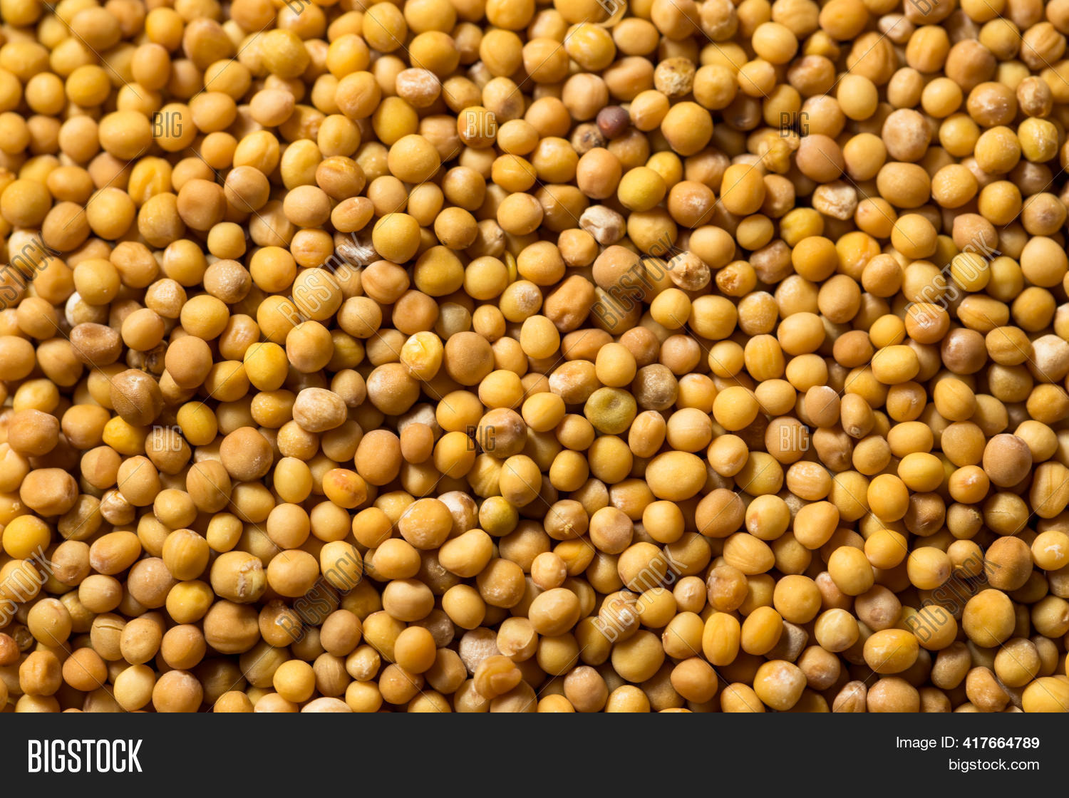 Raw Organic Yellow Image & Photo (Free Trial) | Bigstock