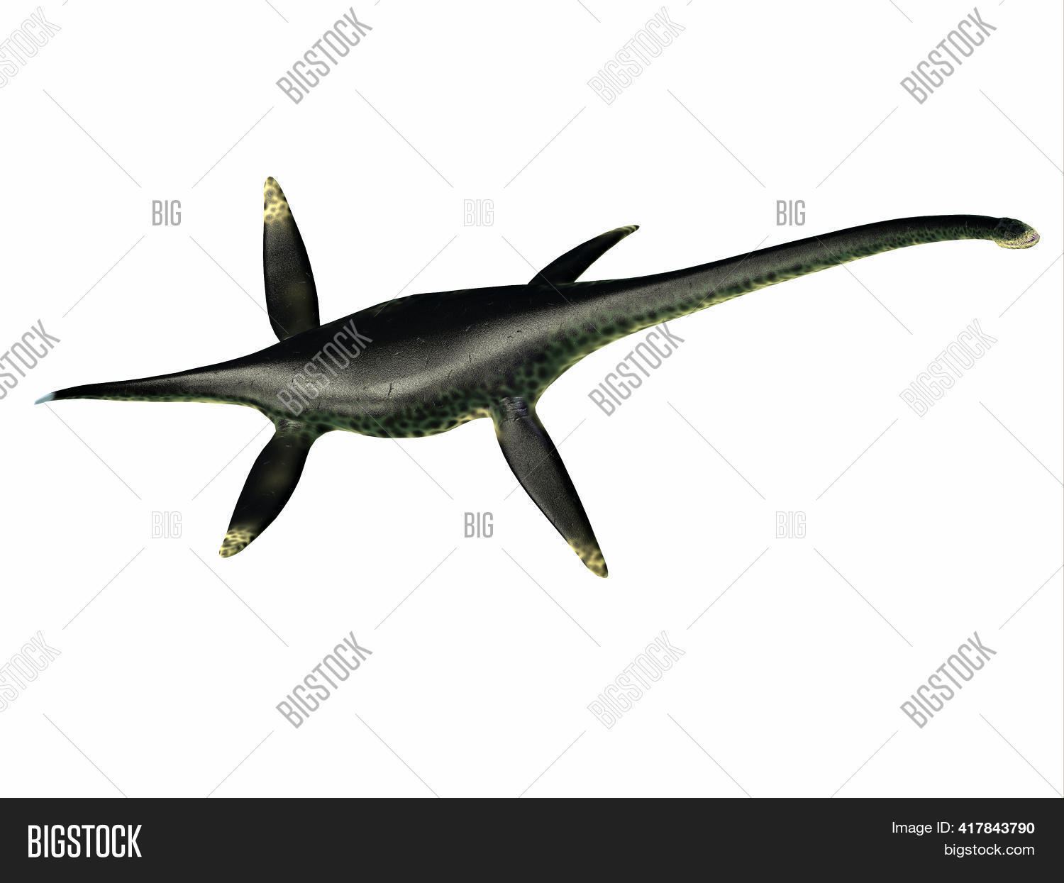 Styxosaurus Reptile Image & Photo (Free Trial) | Bigstock