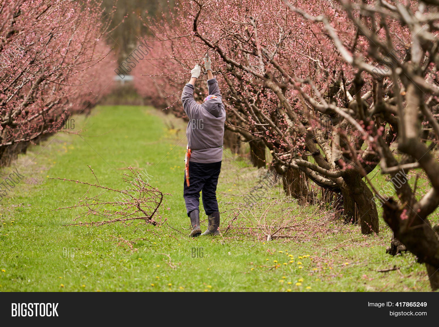 Seasonal Spring Work Image & Photo (Free Trial) | Bigstock