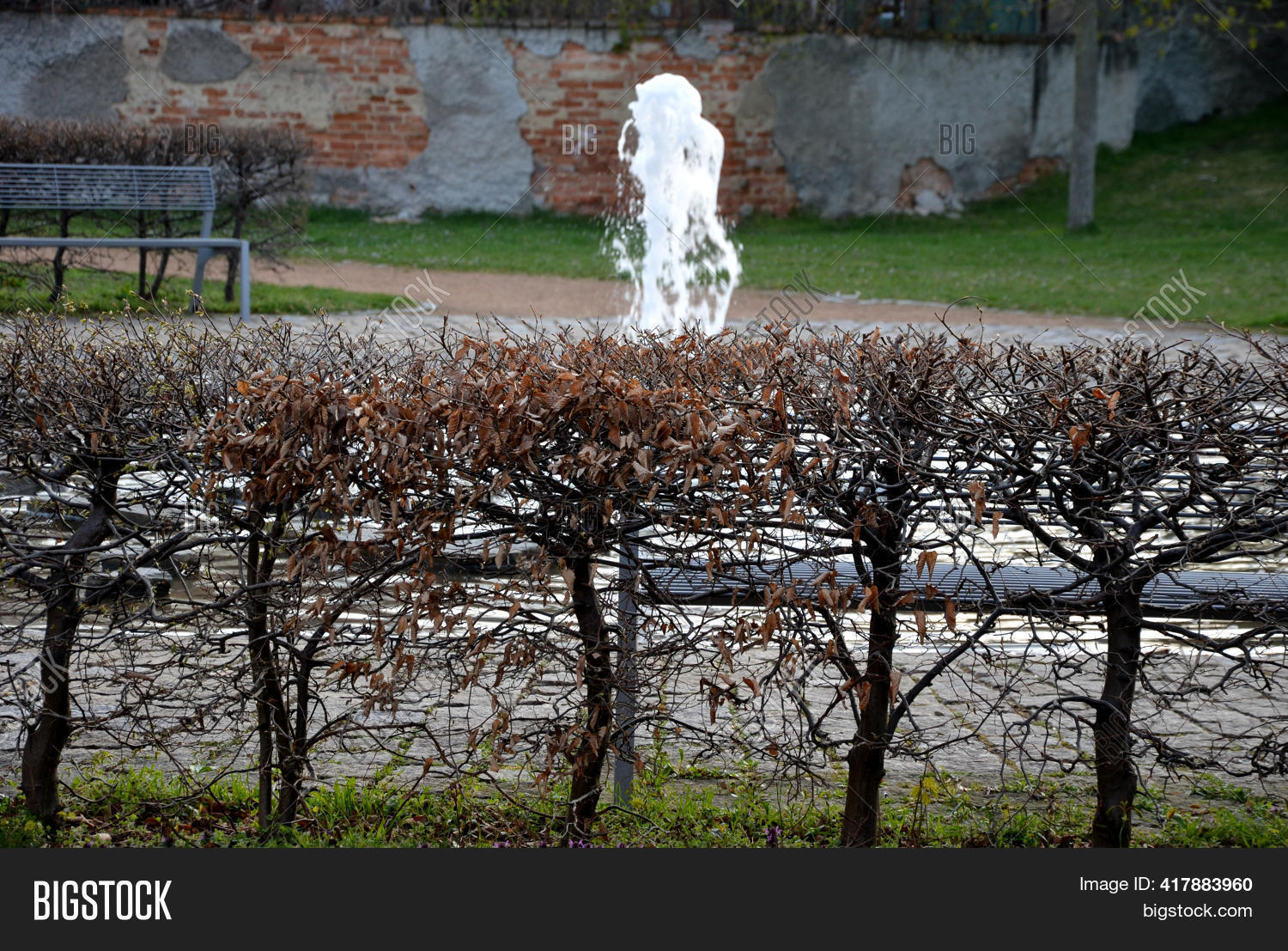 Circular Fountain Image & Photo (Free Trial) | Bigstock