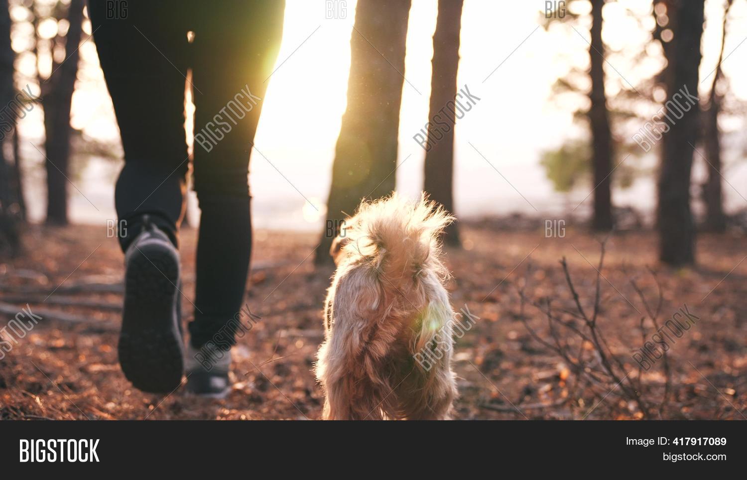 Hiker Feet Walking Dog Image & Photo (Free Trial) | Bigstock
