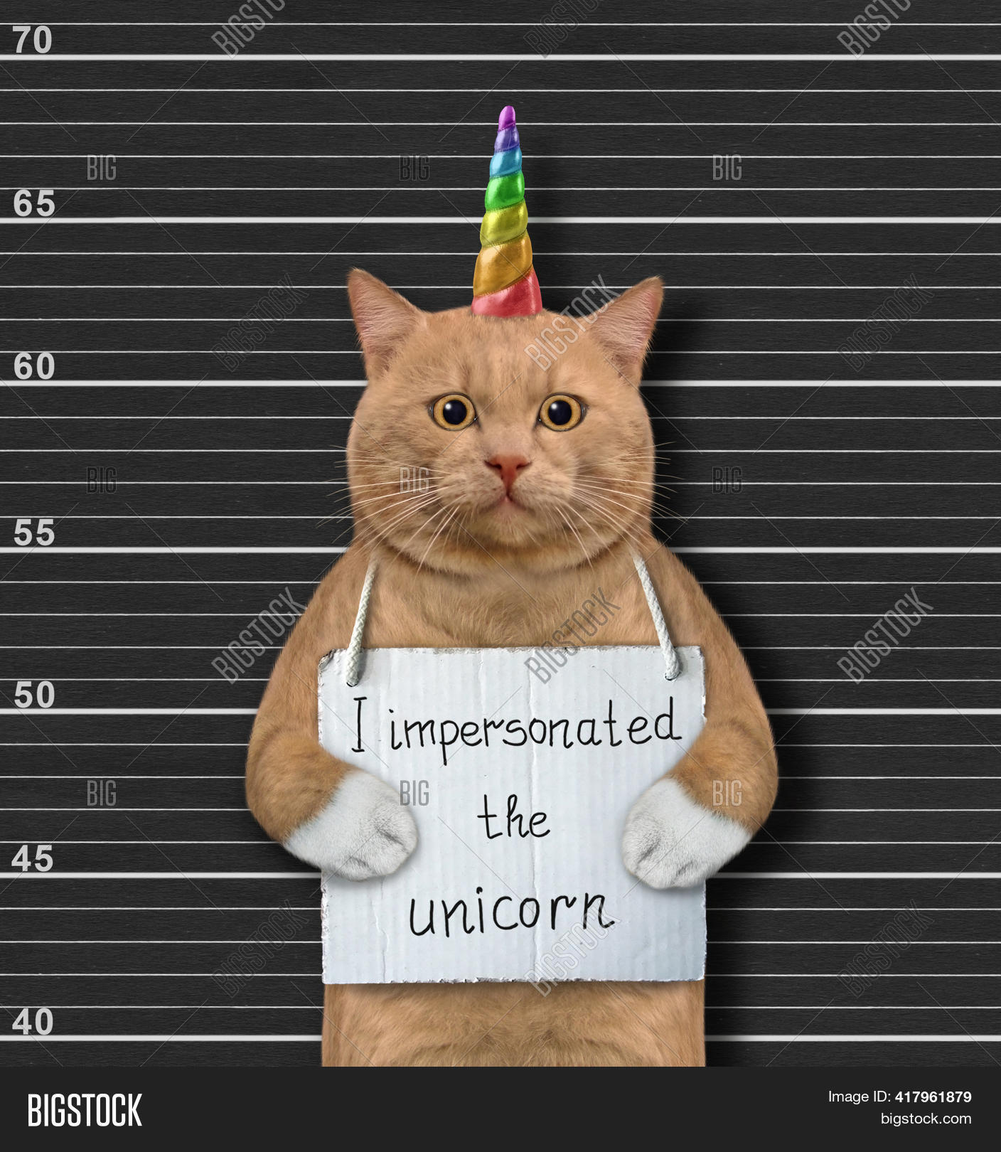 Reddish Cat Arrested. Image & Photo (Free Trial) | Bigstock