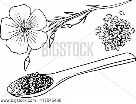 Hand Drawn Flax Seeds Vector & Photo (Free Trial) | Bigstock
