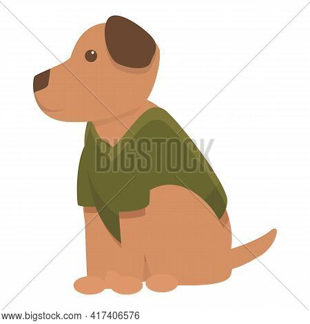 Dog Clothes Images, Illustrations & Vectors (Free) - Bigstock