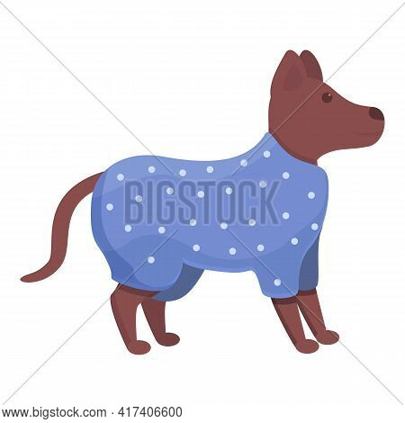 Dog Clothes Images, Illustrations & Vectors (Free) - Bigstock