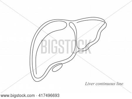 Liver Anatomy Vector & Photo (Free Trial) | Bigstock