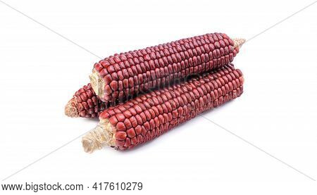 Red Corn Isolated On Image & Photo (Free Trial) | Bigstock
