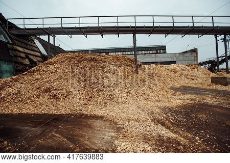 Conveyor Wood Chips. Image & Photo (Free Trial) | Bigstock