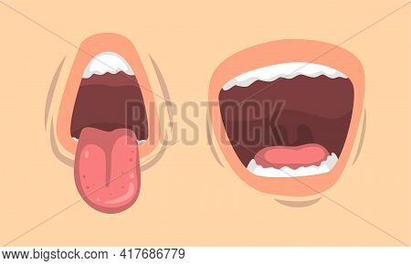 Upper Lower Lips Vector & Photo (Free Trial) | Bigstock