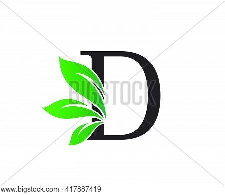 Letter D Logo Green Vector & Photo (Free Trial) | Bigstock