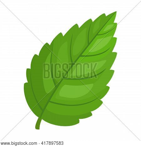 Mint Leaf Cartoon Vector & Photo (Free Trial) | Bigstock