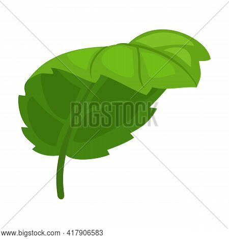 Mint Leaf Cartoon Vector & Photo (Free Trial) | Bigstock