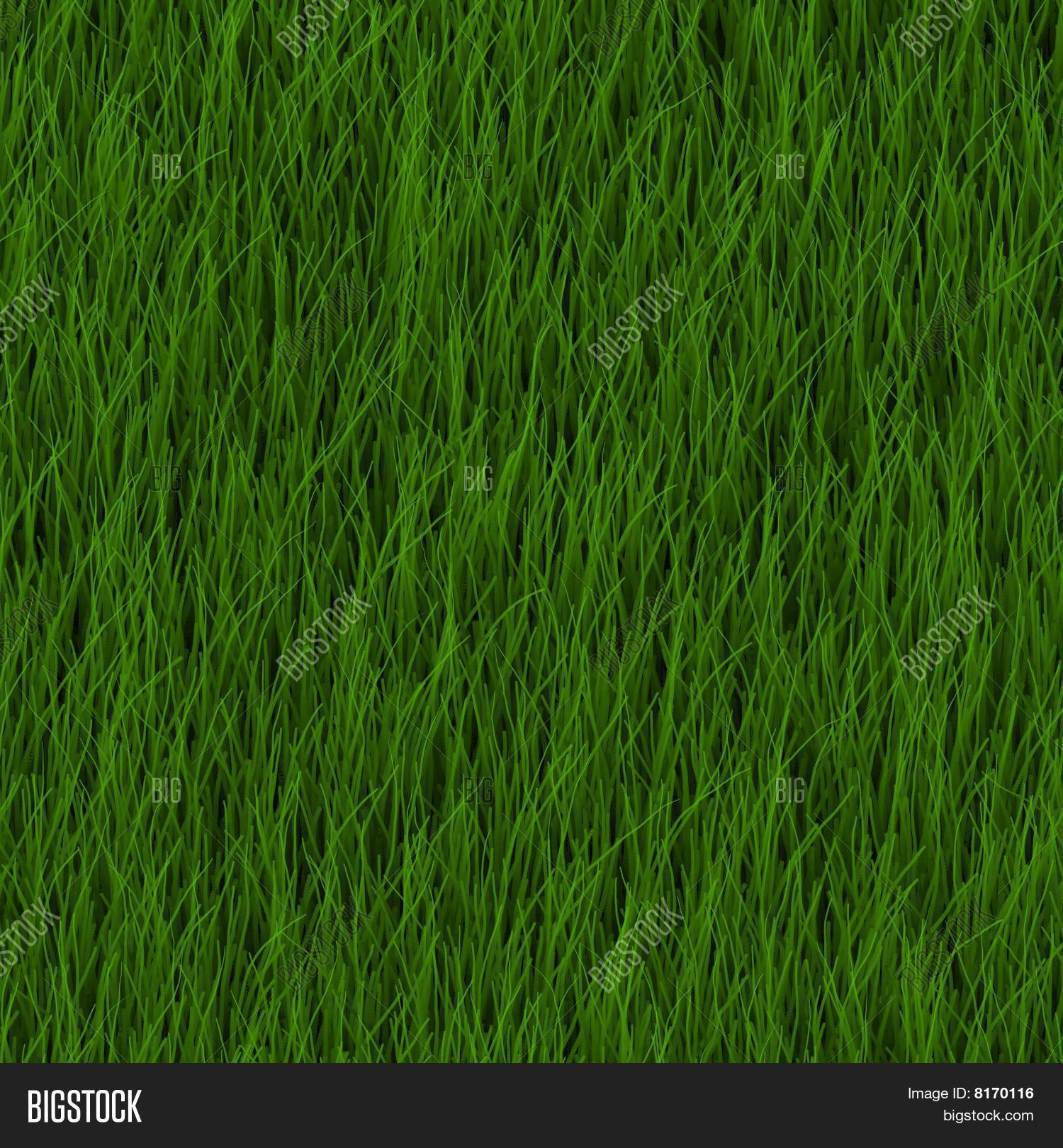 Cartoon Grass Image & Photo (Free Trial) | Bigstock