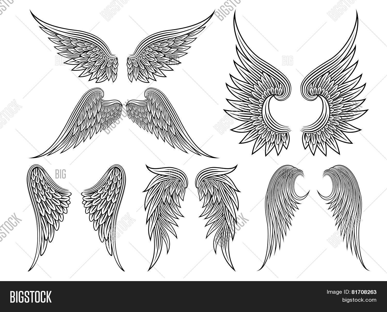 Vector Heraldic Wings Vector & Photo (Free Trial) | Bigstock