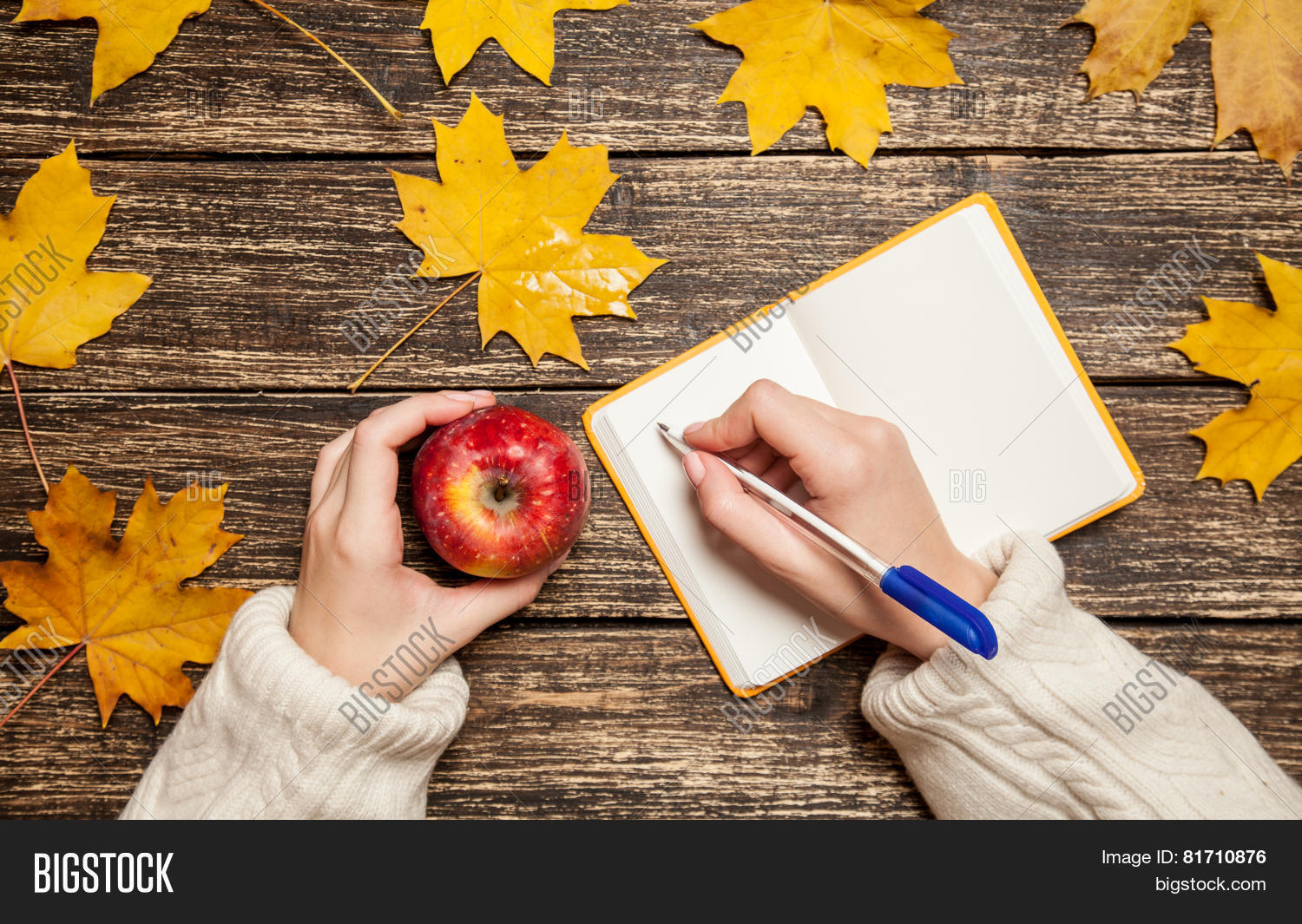 Female Hand Writing Image & Photo (Free Trial) | Bigstock