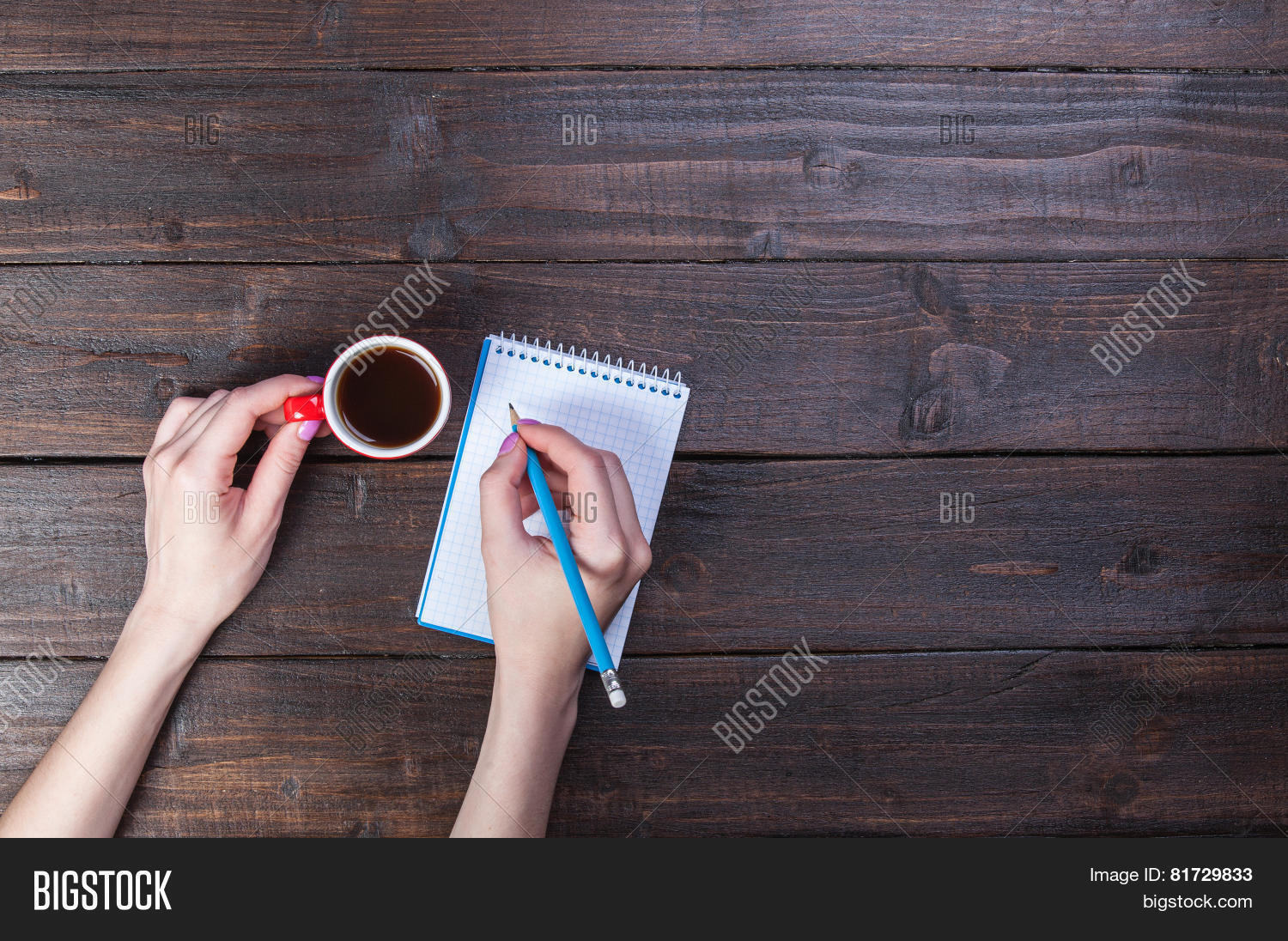 Hands Holding Notebook Image & Photo (Free Trial) | Bigstock