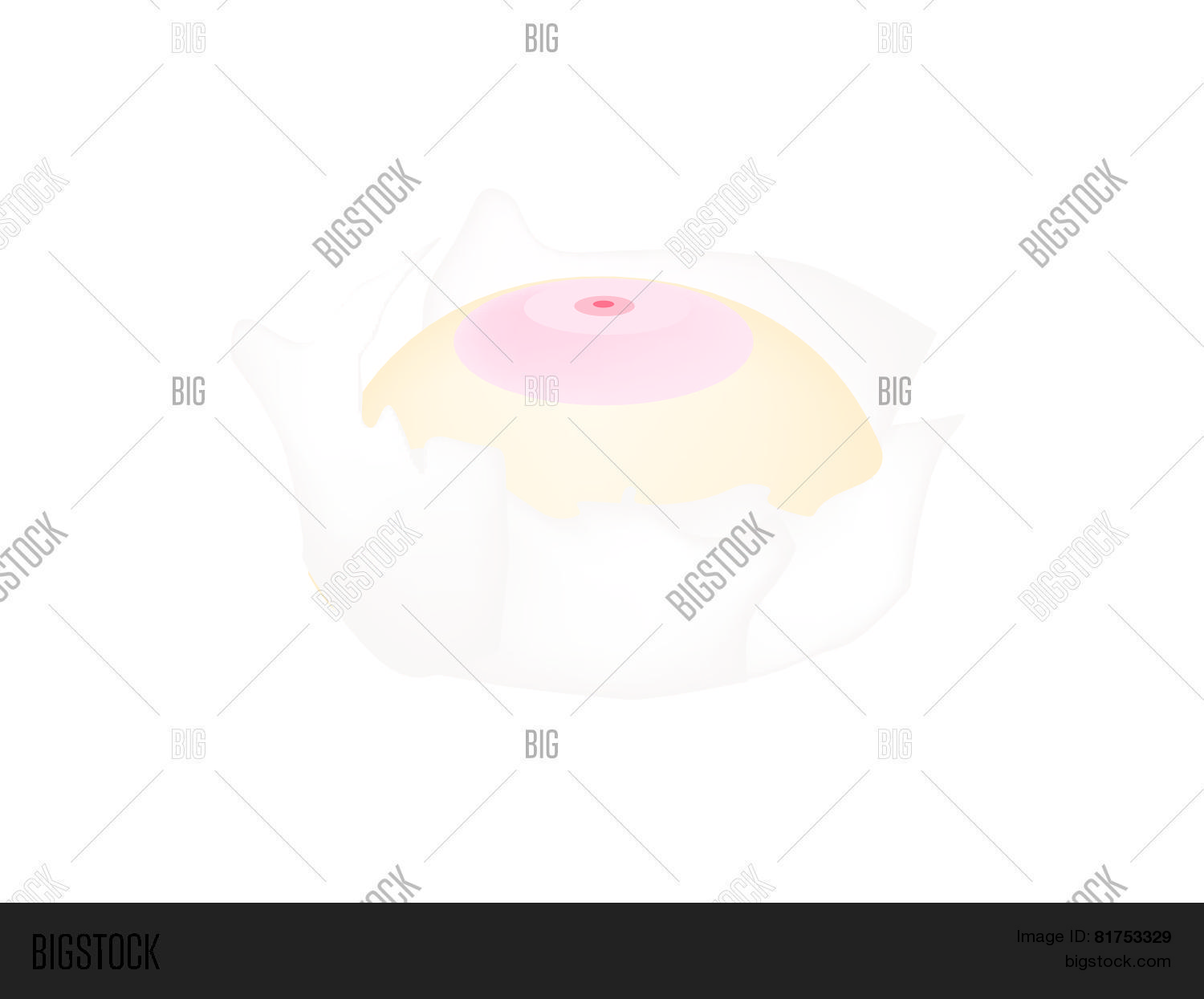 Japanese Traditional Vector & Photo (Free Trial) | Bigstock
