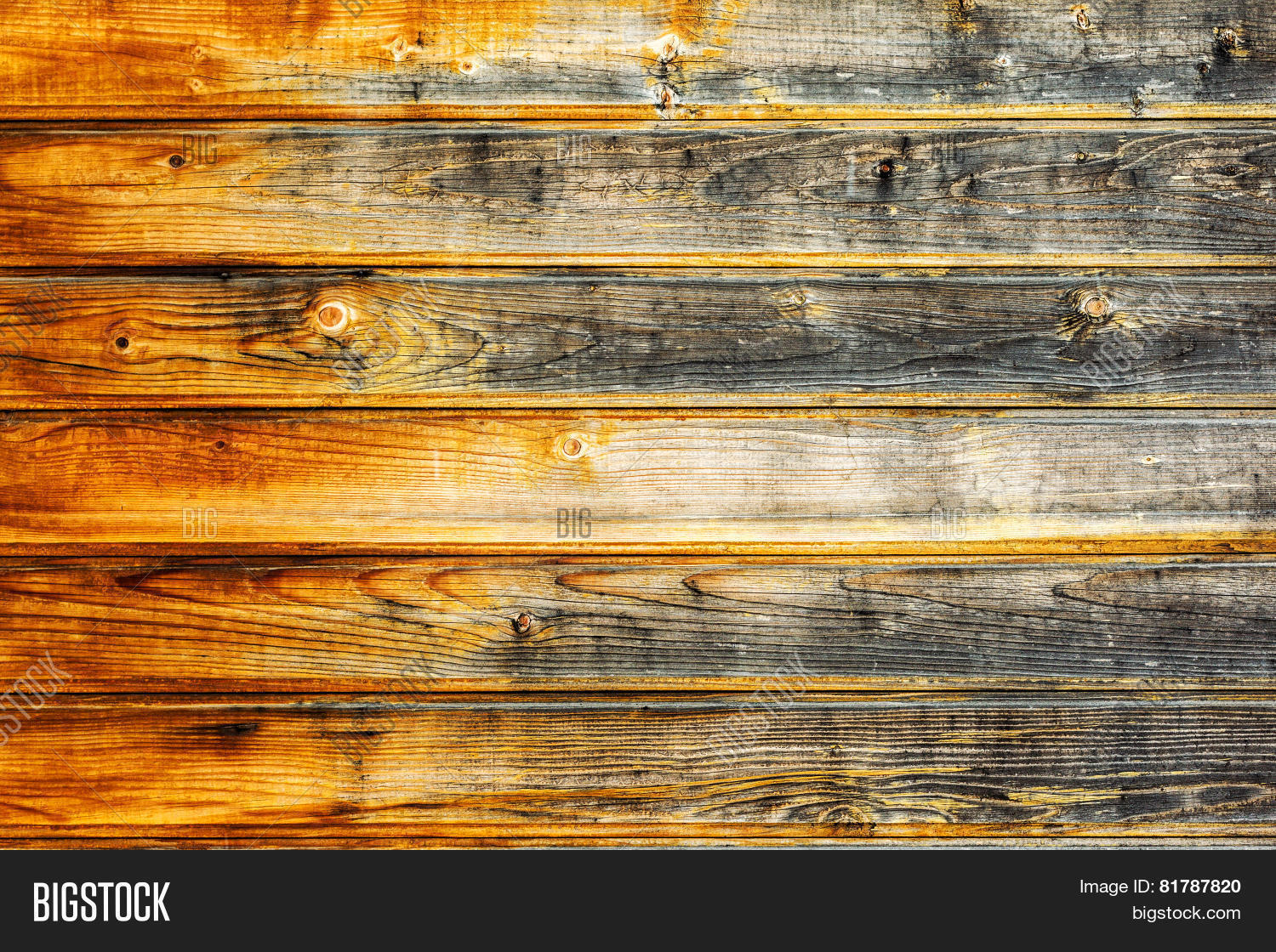 Creative Bright Image & Photo (Free Trial) | Bigstock