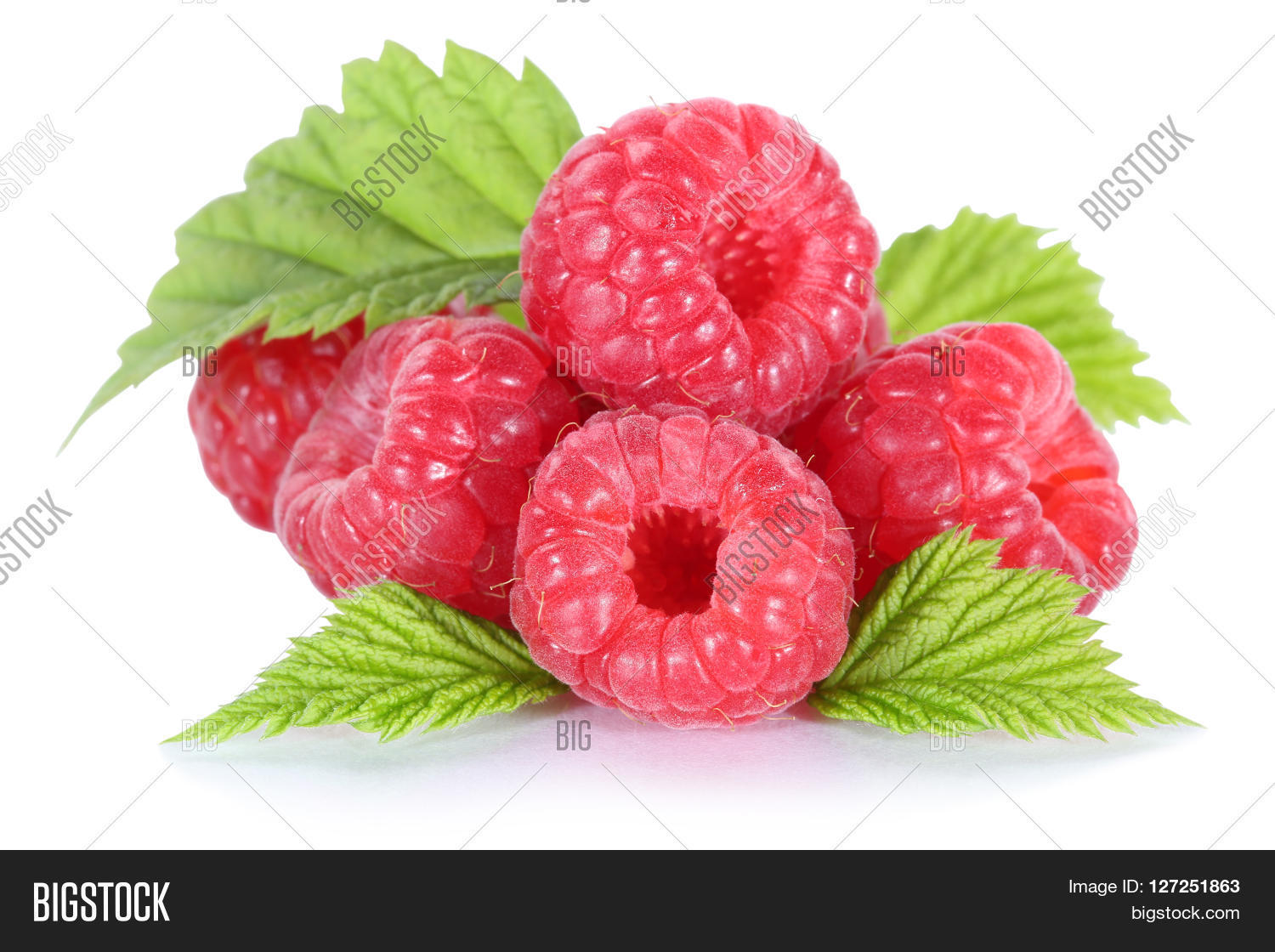 Raspberry Raspberries Image & Photo (Free Trial) | Bigstock