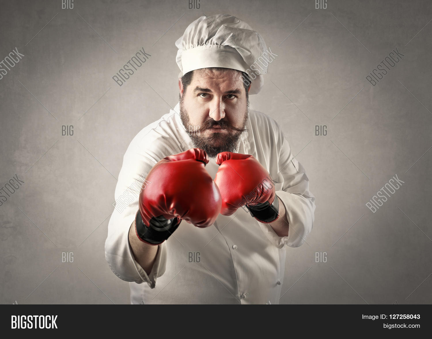 Chef Fight Image & Photo (Free Trial) | Bigstock