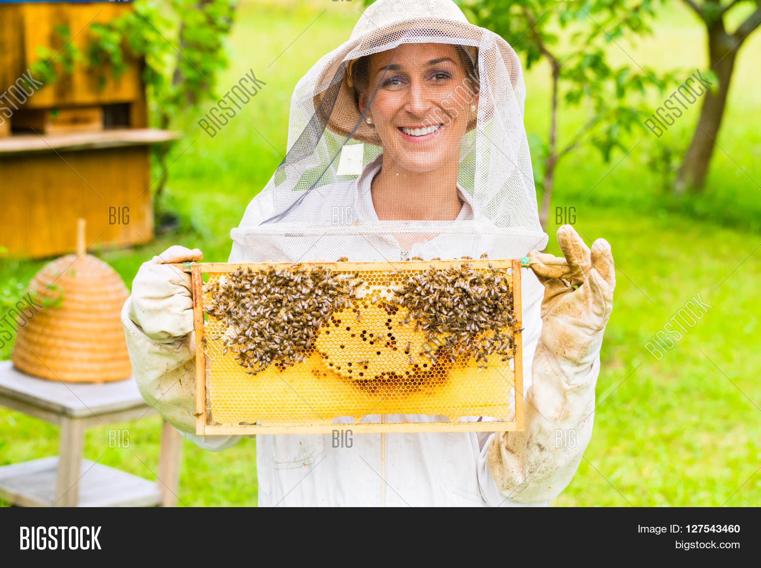 Beekeeper Controlling Image & Photo (Free Trial) | Bigstock