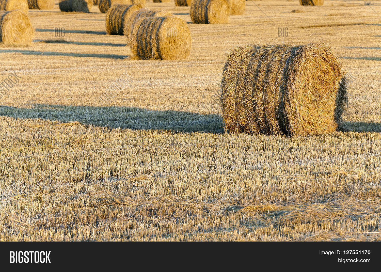 Stack Twisted Straw Image & Photo (Free Trial) | Bigstock
