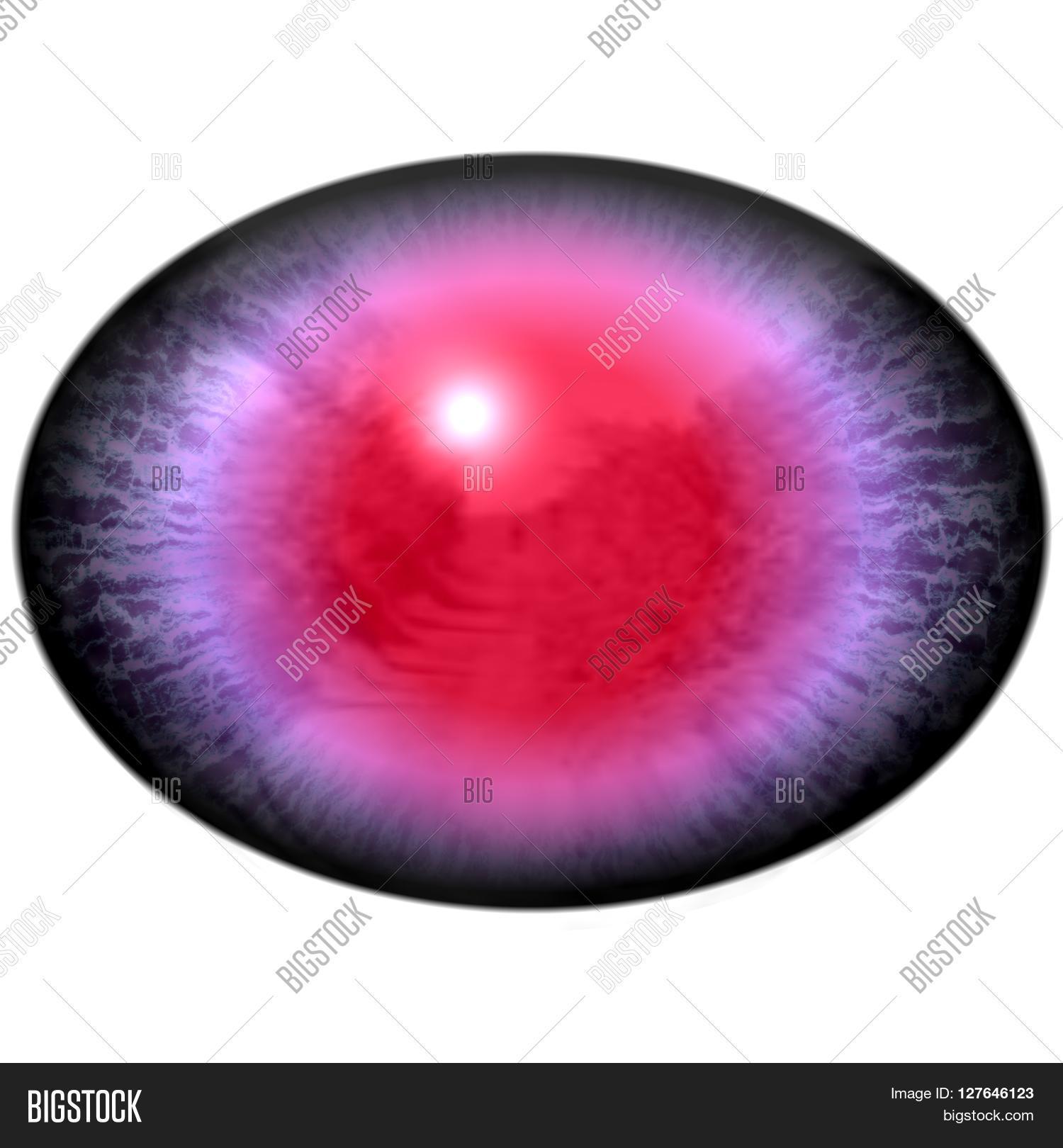 Isolated Eye. Raptor Image & Photo (Free Trial) | Bigstock
