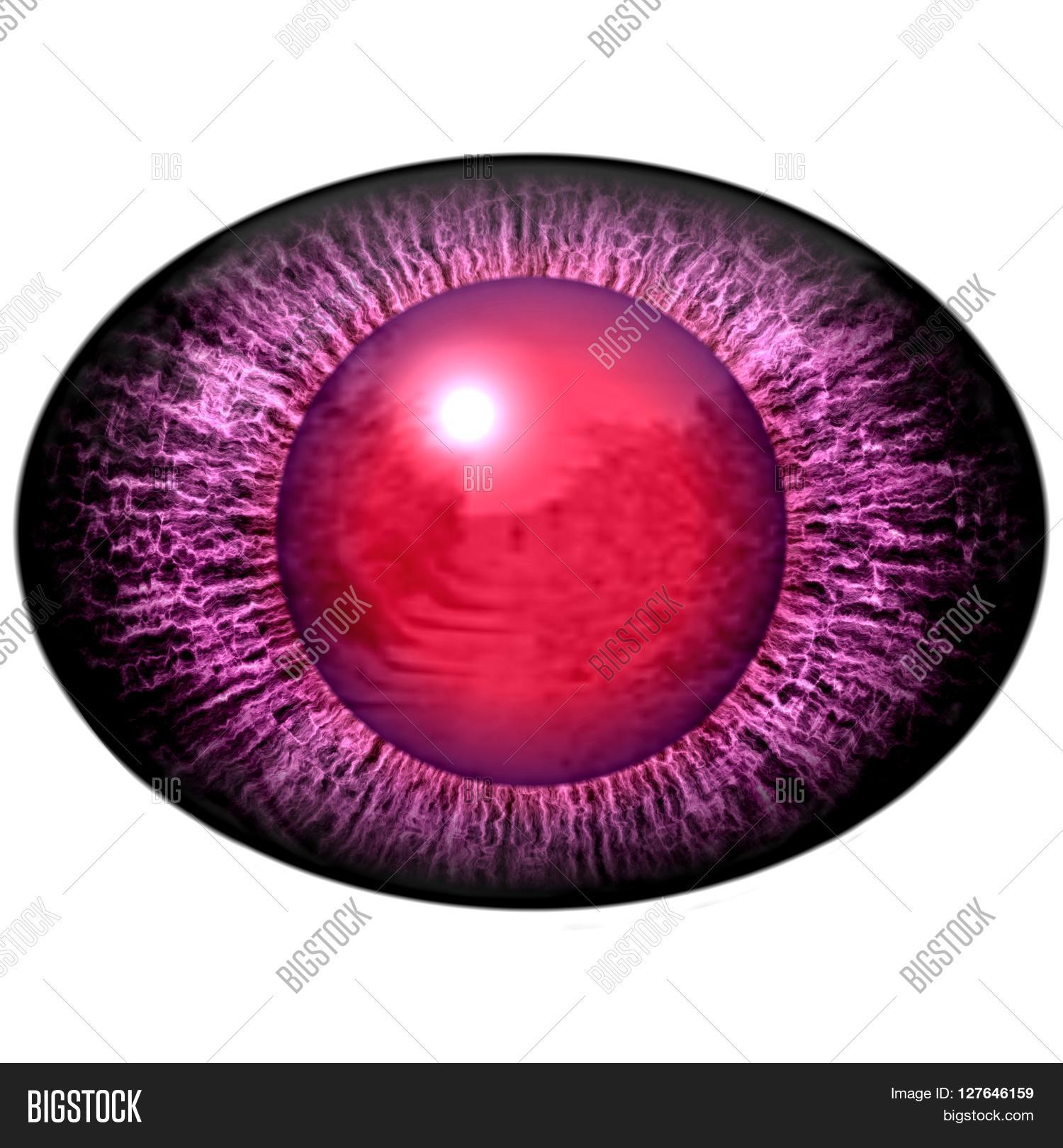 Isolated Eye. Raptor Image & Photo (Free Trial) | Bigstock