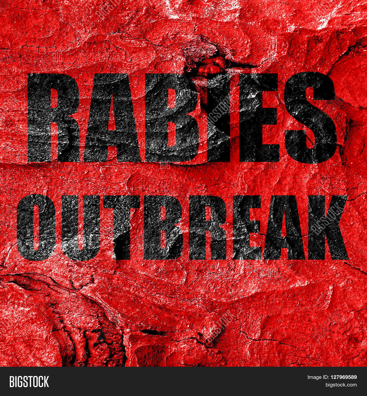 Rabies Virus Concept Image & Photo (Free Trial) | Bigstock