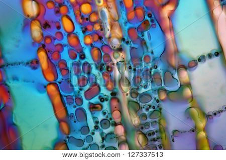Crystals Water Ice Image & Photo (Free Trial) | Bigstock